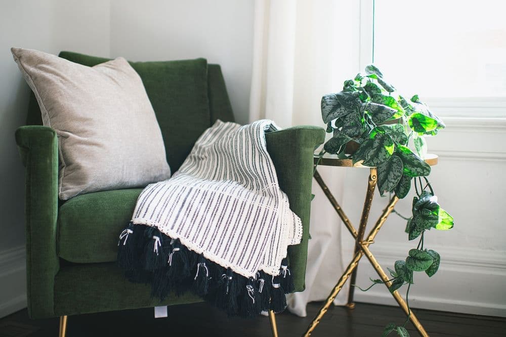 Top-Quality Home Cleanings | Pristine Cleanings Services